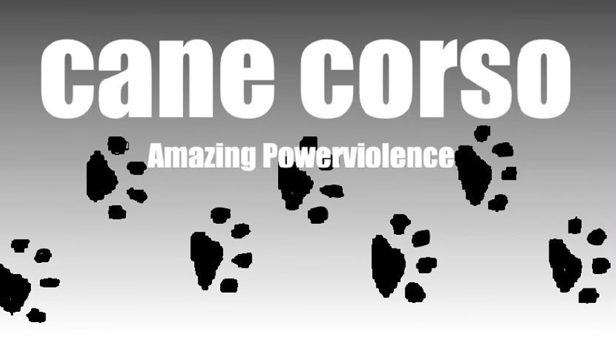 Cane Corso - The Masquerade